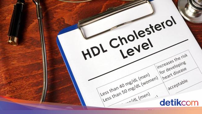 Berapa Sih Kadar Kolesterol Normal Berdasarkan Usia?