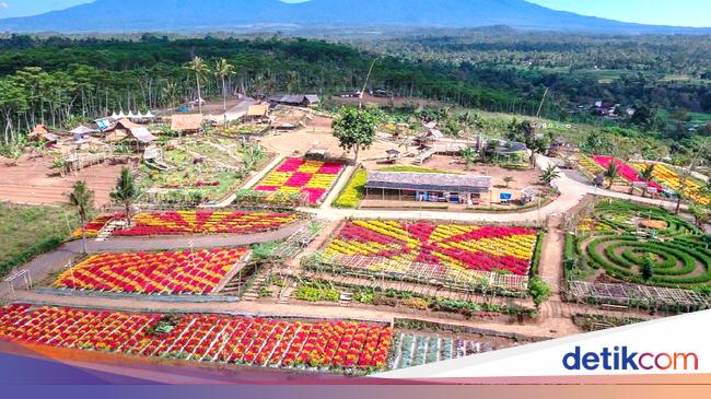 4 Desa Wisata Ini Tawarkan Agrowisata, Apa Keistimewaannya?