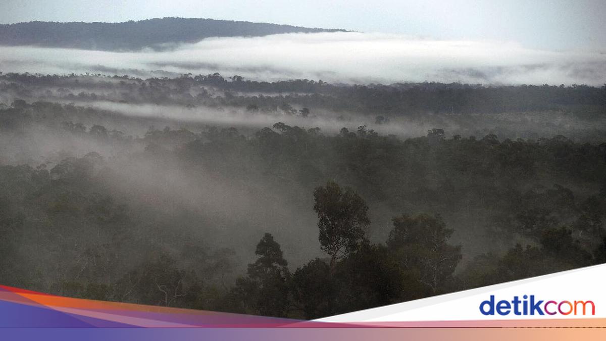Keindahan Panorama di Perbatasan Aruk