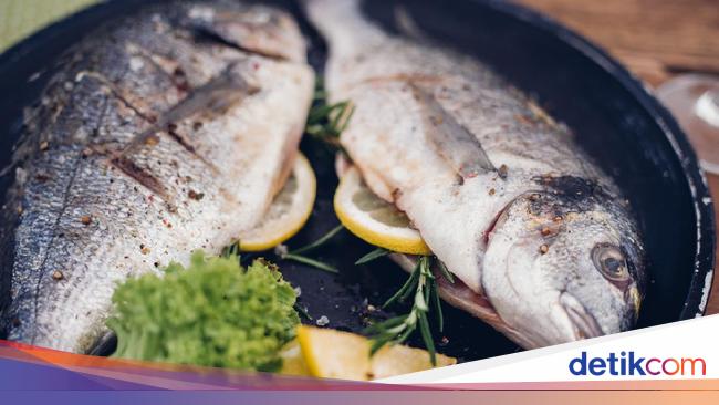 4 Pilihan Ikan Tinggi Protein, Bisa Bantu Cegah Stunting pada Anak