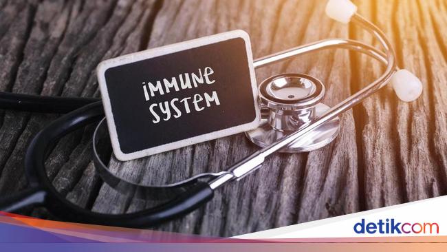 4 Fakta Menarik soal Imunitas Tubuh