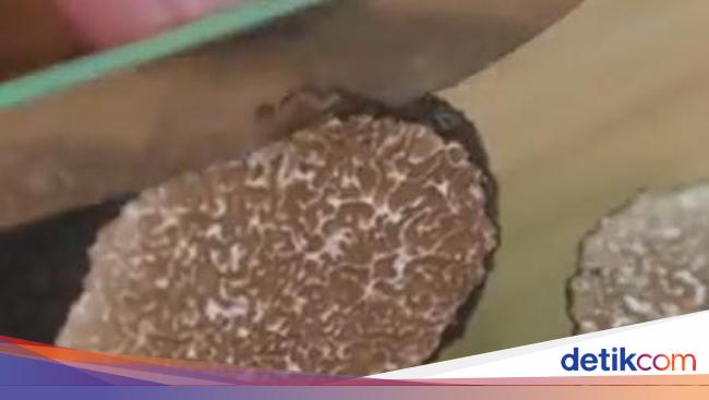 White Truffle Dijual Rp 56 Juta per Kg, Kenapa Bisa Mahal?