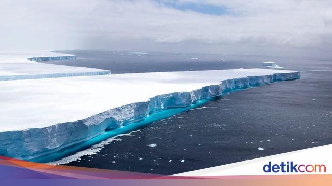 Gunung Es Terbesar Dunia Terbelah, Populasi Hewan Liar Terancam