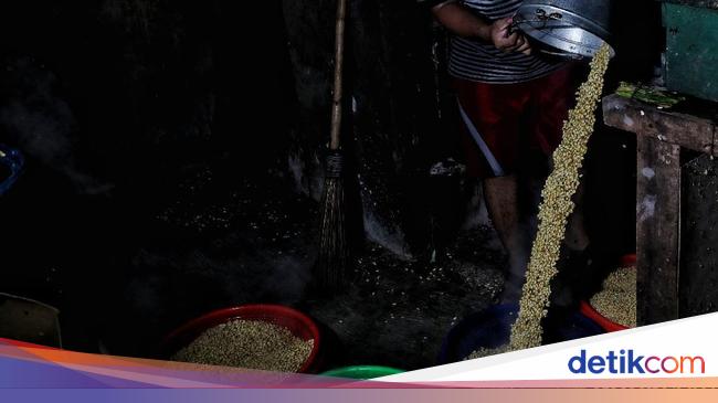 Petani Blak-blakan Alasan Ogah Tanam Kedelai Petani Blak-blakan Alasan Ogah Tanam Kedelai