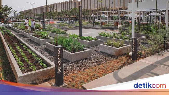 Ada Kebun Hijau Instagramable di Tengah PIK