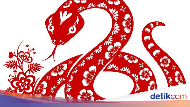 Ramalan Shio Ular di Tahun 2024: Kesempatan Baik untuk Melangkah Maju