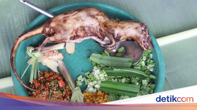 Wow! YouTuber Ini Masak Daging Tikus Bambu di Tengah Hutan
