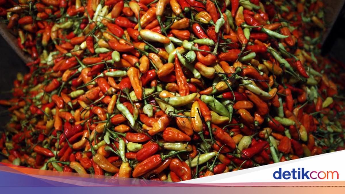 Tanpa Cabai, Hidup Warga Raja Ampat Rasanya Hambar