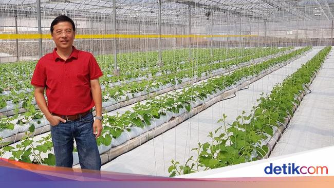 Jadi Petani, Eks Bos Disc Tarra Cerita Kisah Sukses Tanam Sayur