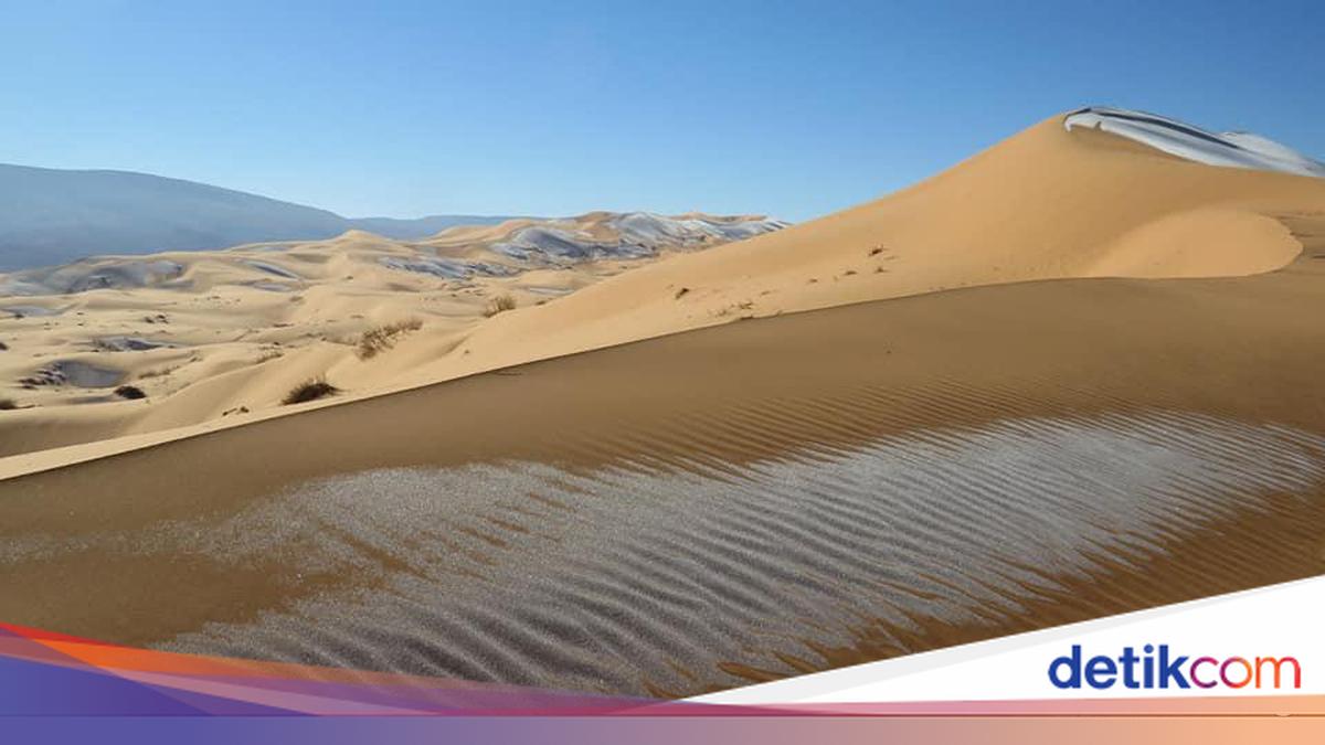 Gurun Sahara Pernah Hijau, Begini Sejarahnya