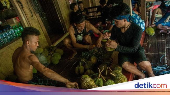 Kampung Adat Baduy Mulai Ramai Wisatawan yang Berburu Durian