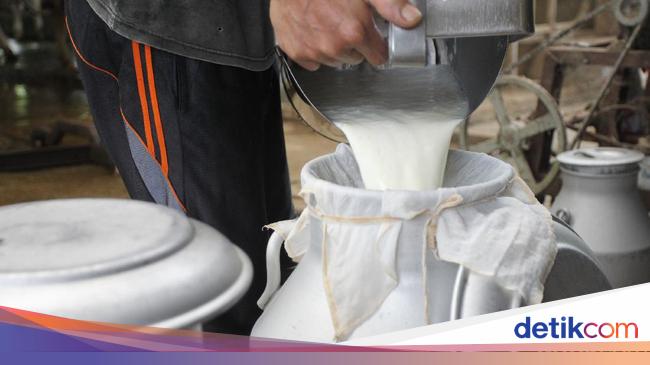 Segini Kebutuhan Susu buat Program Makan Bergizi Gratis Prabowo