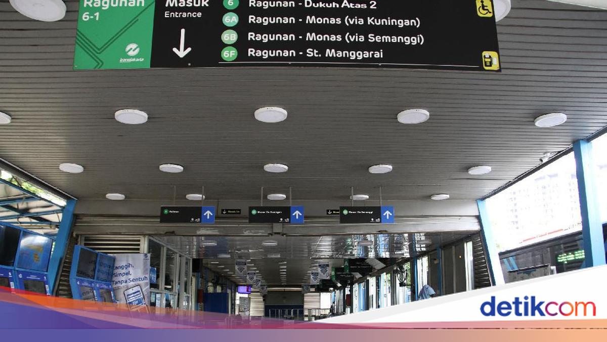 Halte Ragunan Mulai Direvitalisasi, TransJ Siapkan Halte Sementara