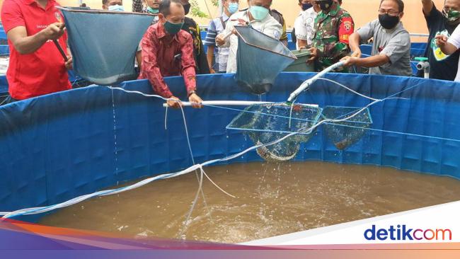 Kkp Dorong Masyarakat Budidaya Ikan Pakai Sistem Bioflok