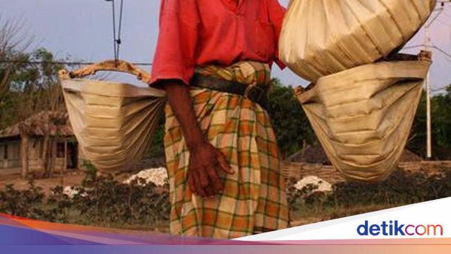 Menikmati Manisnya Tuak Pohon Lontar