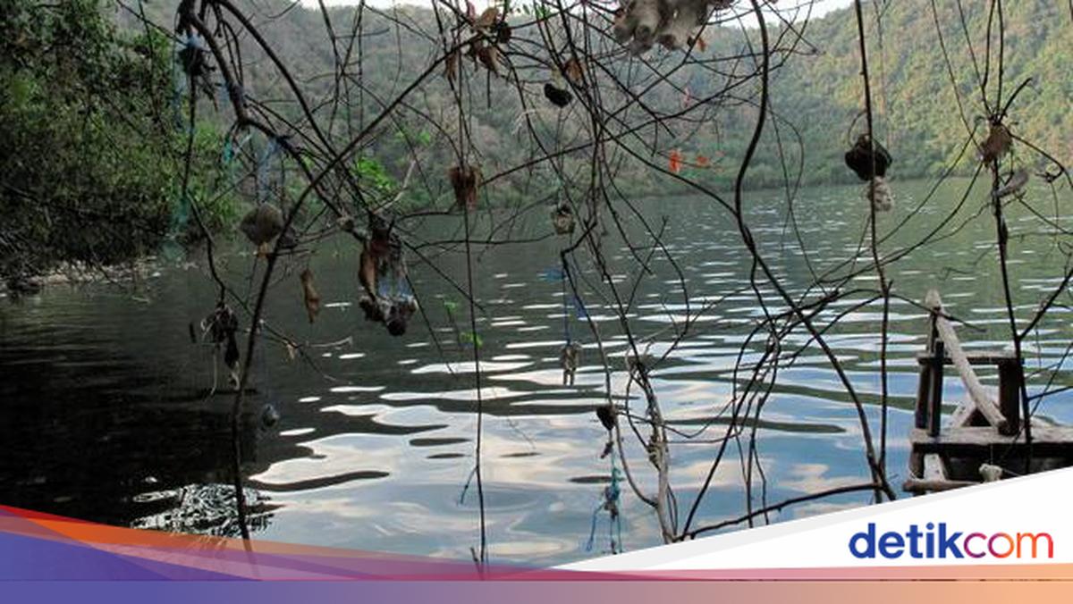 Pohon Berbuah Batu Harapan di Tepi Danau Satonda