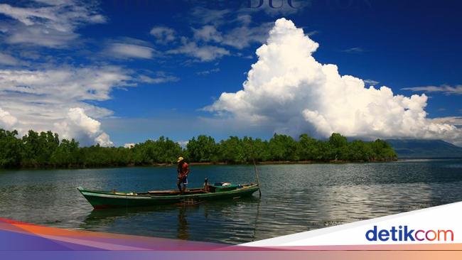 Sidangoli Expedition: Menelusuri Kerajaan Burung Bidadari di Halmahera ...