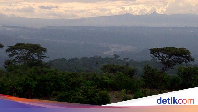 Soe di NTT, Hutan Twilight Ala Indonesia