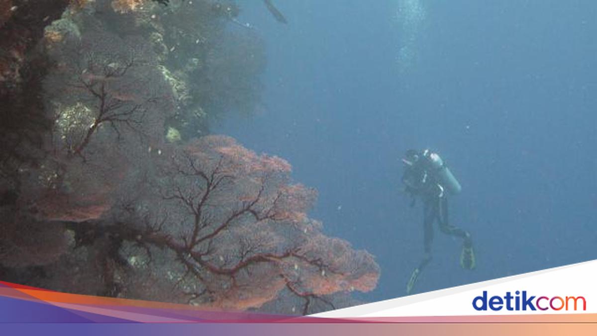 Taman Laut Pulau Ai