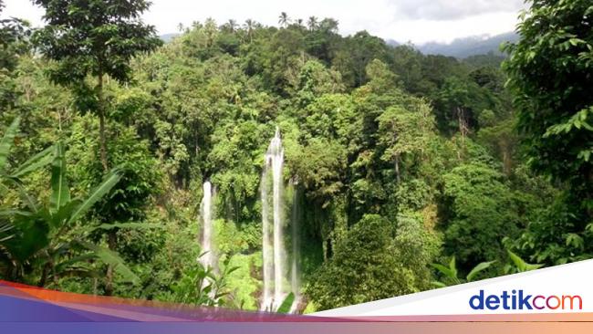 Air Terjun Sekumpul yang Tersembunyi di Hutan Buleleng