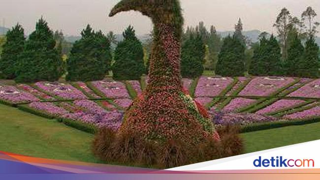 Akhir Pekan Cantik di Taman Bunga Nusantara, Bogor