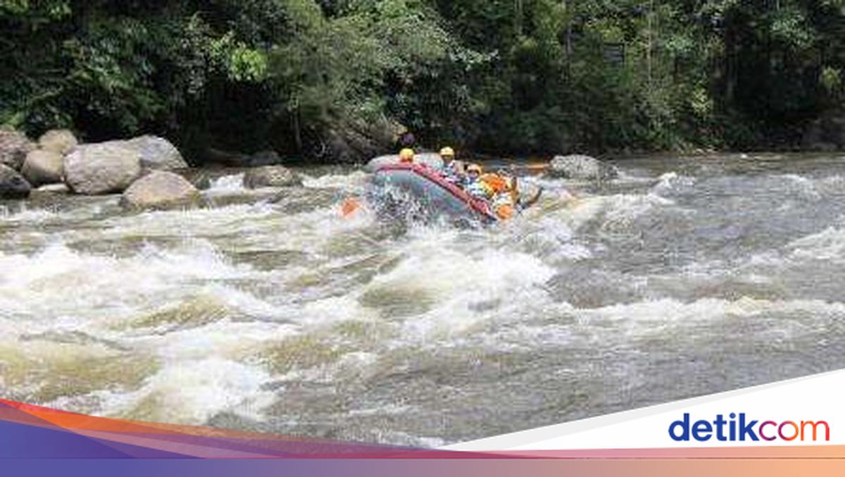Arung Jeram di Sungai Alas, Hanya untuk Para Pemberani!