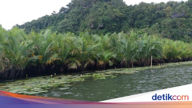 Bukit Karst Terbesar Ketiga Sedunia di Sulawesi, Cantik Kan?