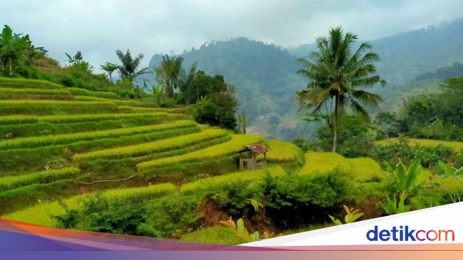 Destinasi Wisata Desa Gunung Jampang