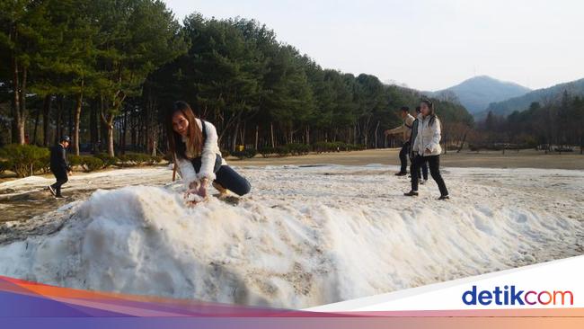 Ini Rasanya Main Salju di Korea Selatan