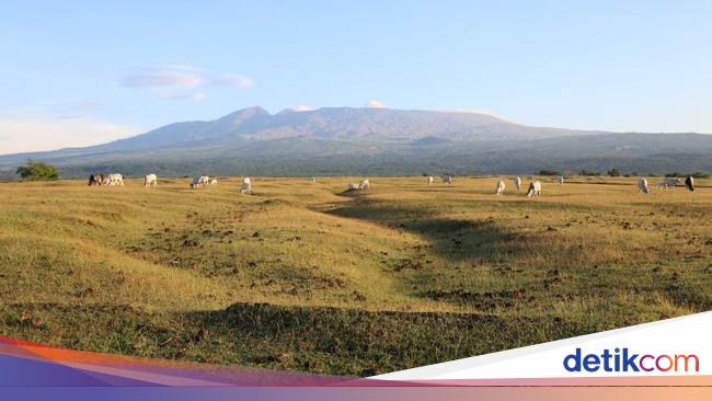 Inikah Desa dengan Pemandangan Paling Indah di Indonesia?