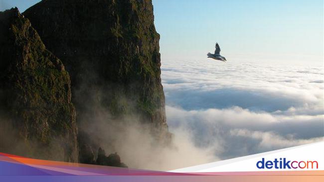 Siap-siap Pusing 7 Keliling Saat Berkunjung ke 3 Tempat Ini