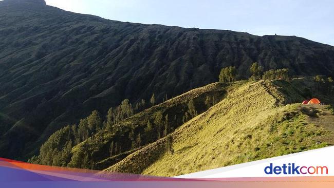 Begini Cantiknya Rinjani dari Plawangan Sembalun
