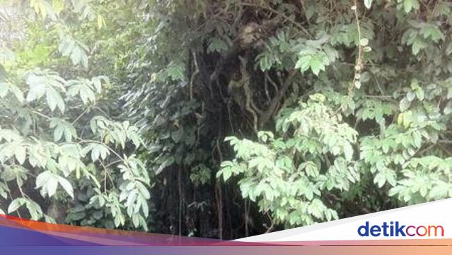 Curug Ciomas, 'Green Canyon Mini' dari Karawang