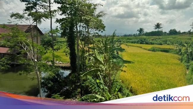Foto: Garut Si Swiss Van Java