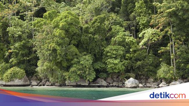 Karang dan Tebing Bebatuan Curam Nan Cantik
