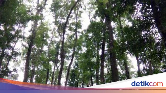 Keindahan Aik Nyet di Lombok yang Jarang Orang Tahu