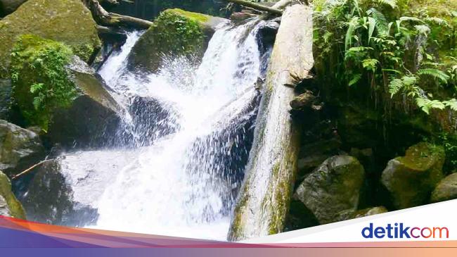 Lau Berte, Surga Tersembunyi dari Sumatera Utara