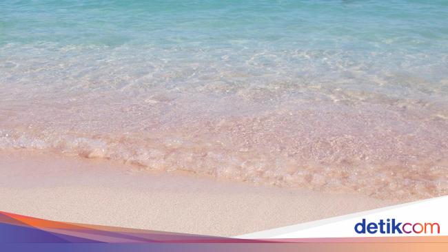 Pink Beach, Pantai Pasir Merah Muda Favorit Turis Dunia