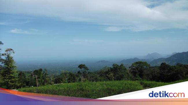 Puas Mendaki si Cantik Gunung Talamau di Sumbar