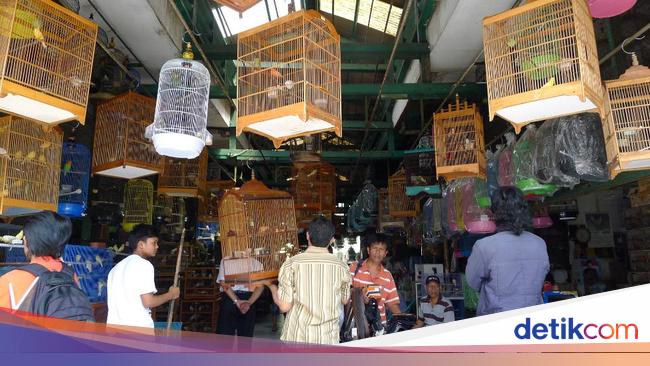Ramainya Pasar Burung di Jalan Pramuka, Jakarta