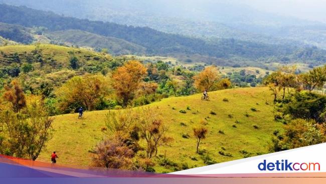Selandia Baru? Bukan, Ini Cagar Alam Jantho di Aceh