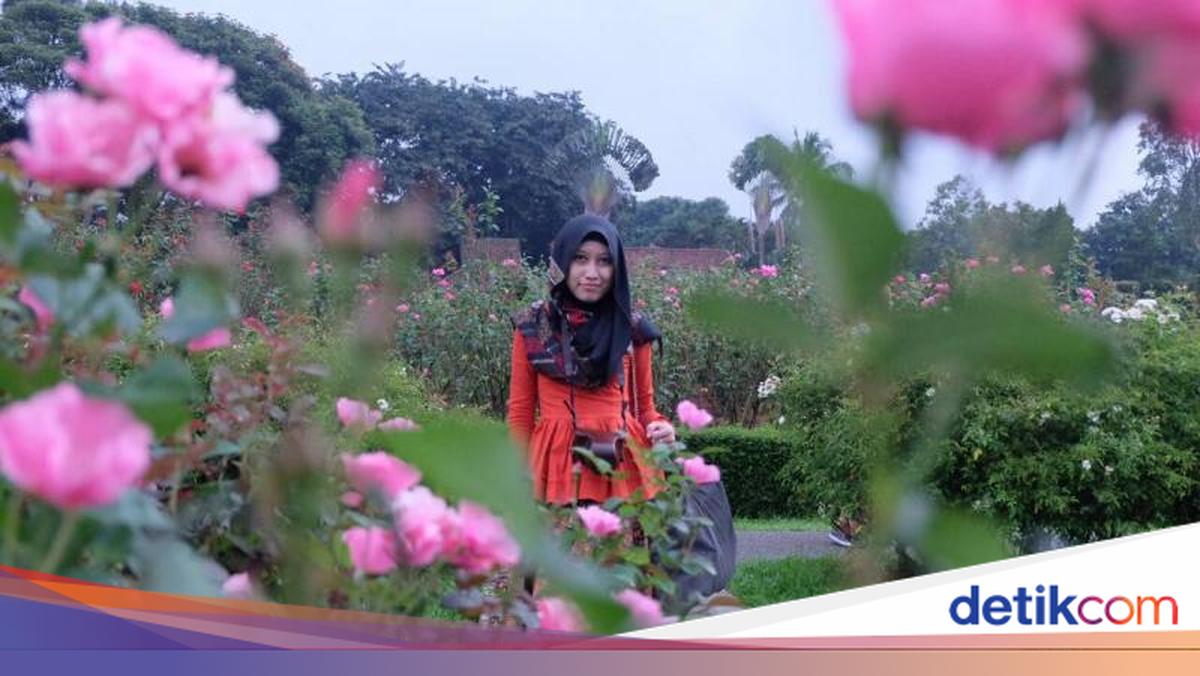 Serasa di Eropa, Padahal di Taman Bunga Nusantara