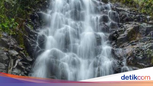 Surga Tersembunyi di Tengah Belantara Hutan Banjar Surga Tersembunyi di Tengah Belantara Hutan Banjar
