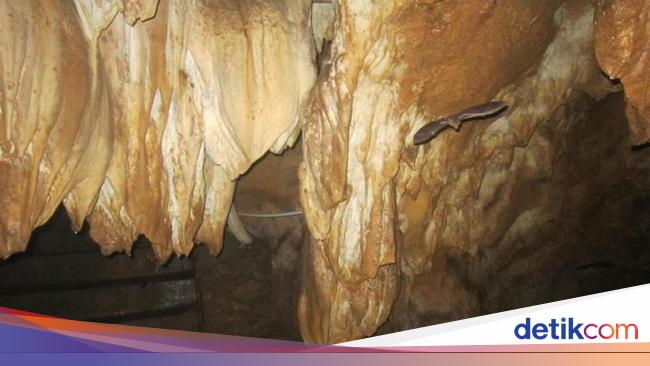 Takjub! Lihat Ratusan Kelelawar dan Bentuk Unik Gua Gudawang