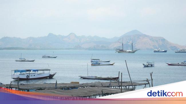 Tradisi Berburu Paus Ada di Desa Lamalera