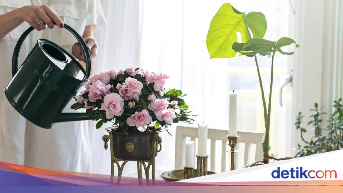 Ganti Air Saja Nggak Cukup, Begini Tips Rawat Bunga dalam Vas biar Awet