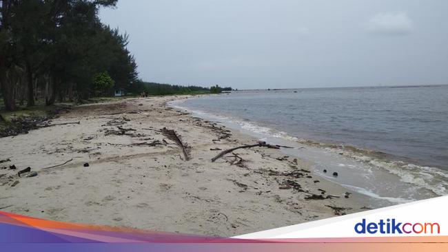 Sei Bakau, Laut Hitam dari Indonesia