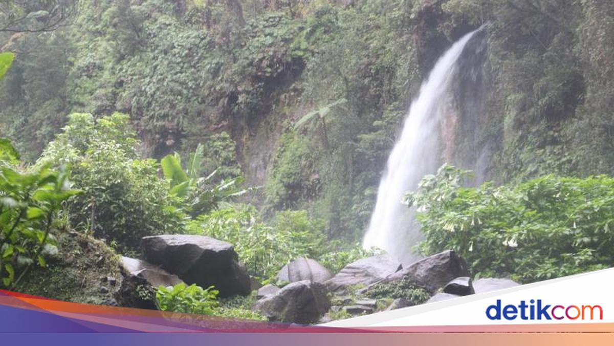Yuk Habiskan Weekend di Gunung Gede Pangrango