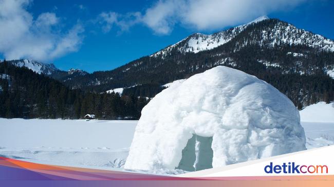 Begini Cara Orang Eskimo Bikin Iglo, Rumah Salju untuk Tinggal