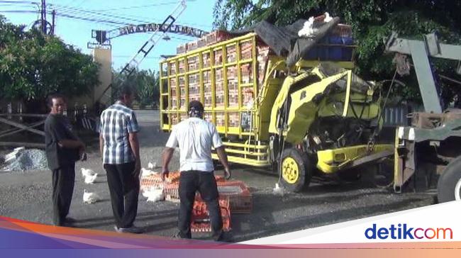 Truk Pengangkut Ayam Tabrak Tronton di Subang, Dua Orang Tewas Truk Pengangkut Ayam Tabrak Tronton di Subang, Dua Orang Tewas